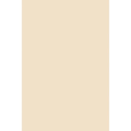 Buy Oak Manilla Tag Board, 12" x 18" (Pack of 100) at S&S Worldwide