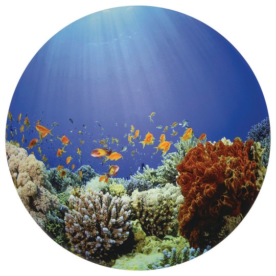Buy Under the Sea Discovery Play Mat at S&S Worldwide