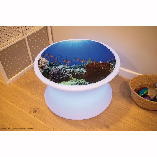 Buy Under the Sea Discovery Play Mat at S&S Worldwide