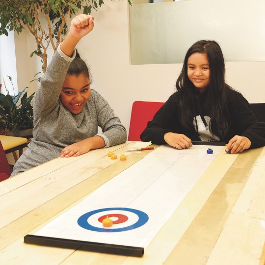 Buy Table Top Curling Game at S&S Worldwide