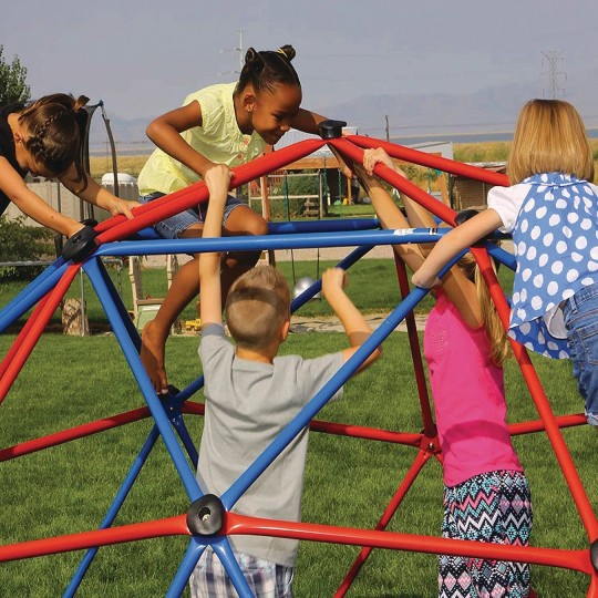 Buy Lifetime Dome Climber at S&S Worldwide