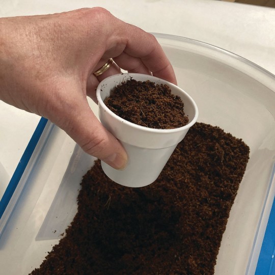 Buy AgroSci® Compressed Soil Discs for Planting (Pack of 5) at S&S ...