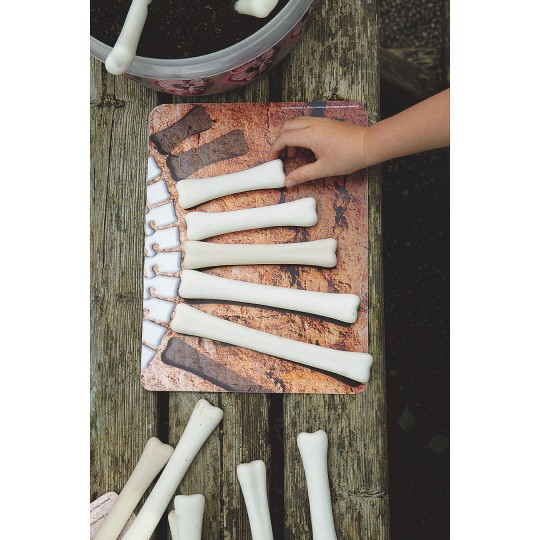 Buy Dinosaur Bones Match & Measuring Set at S&S Worldwide